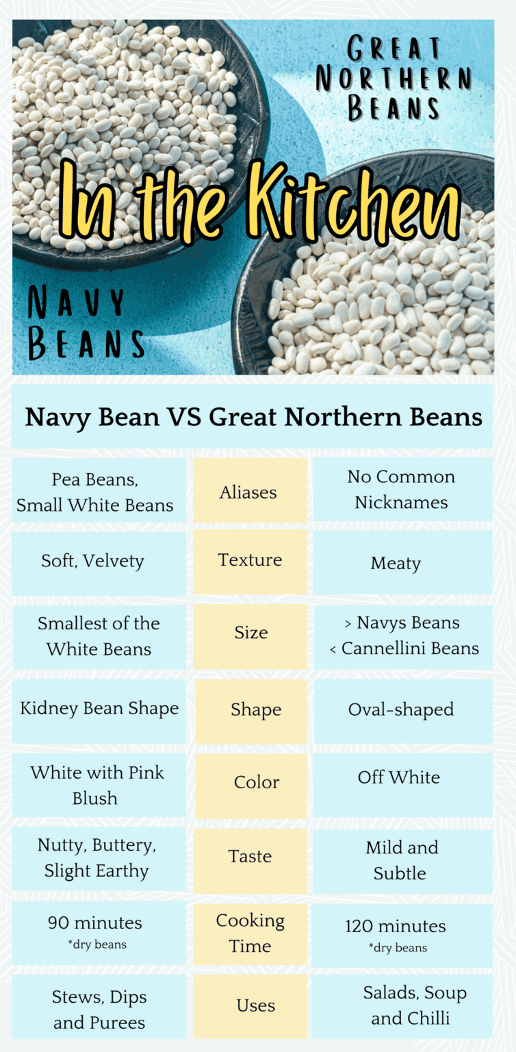 Navy Beans vs Great Northern Beans - Balancing Bowls