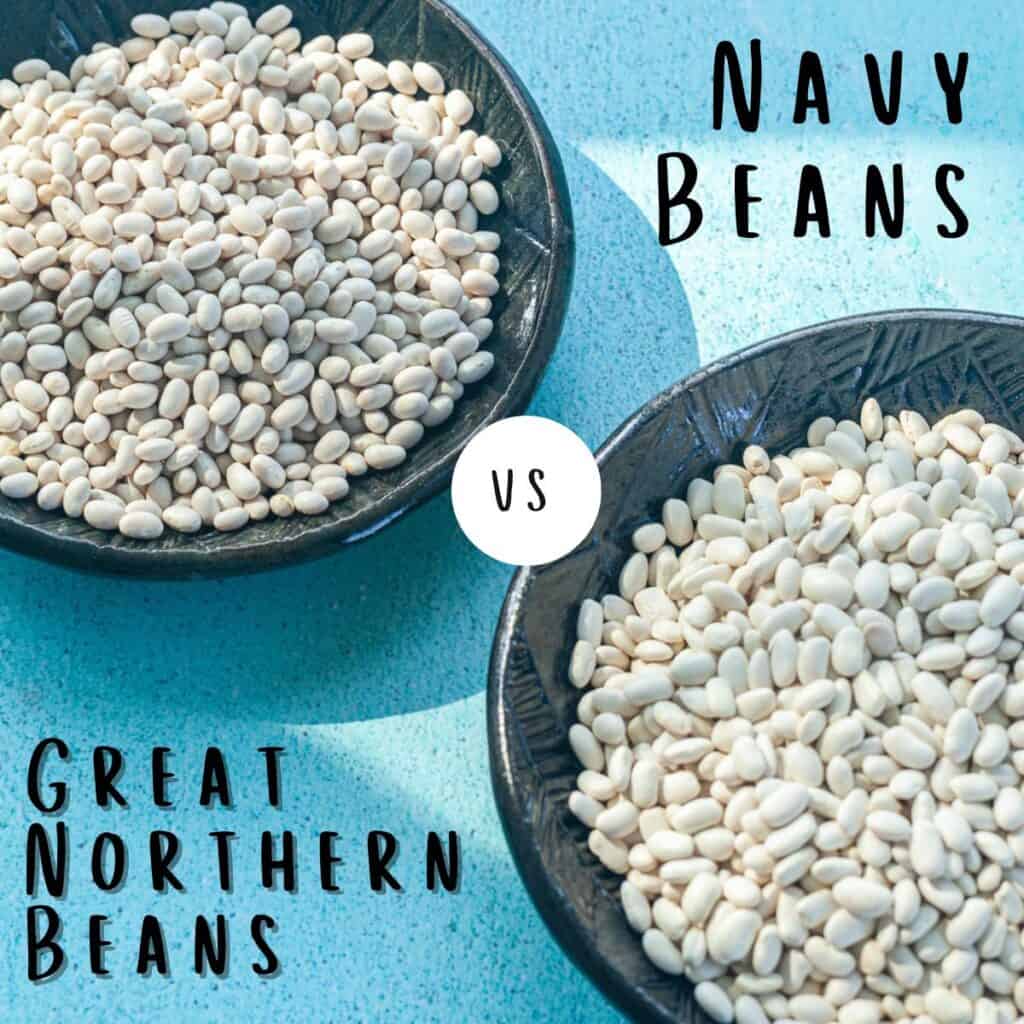 Navy Beans - Balancing Bowls