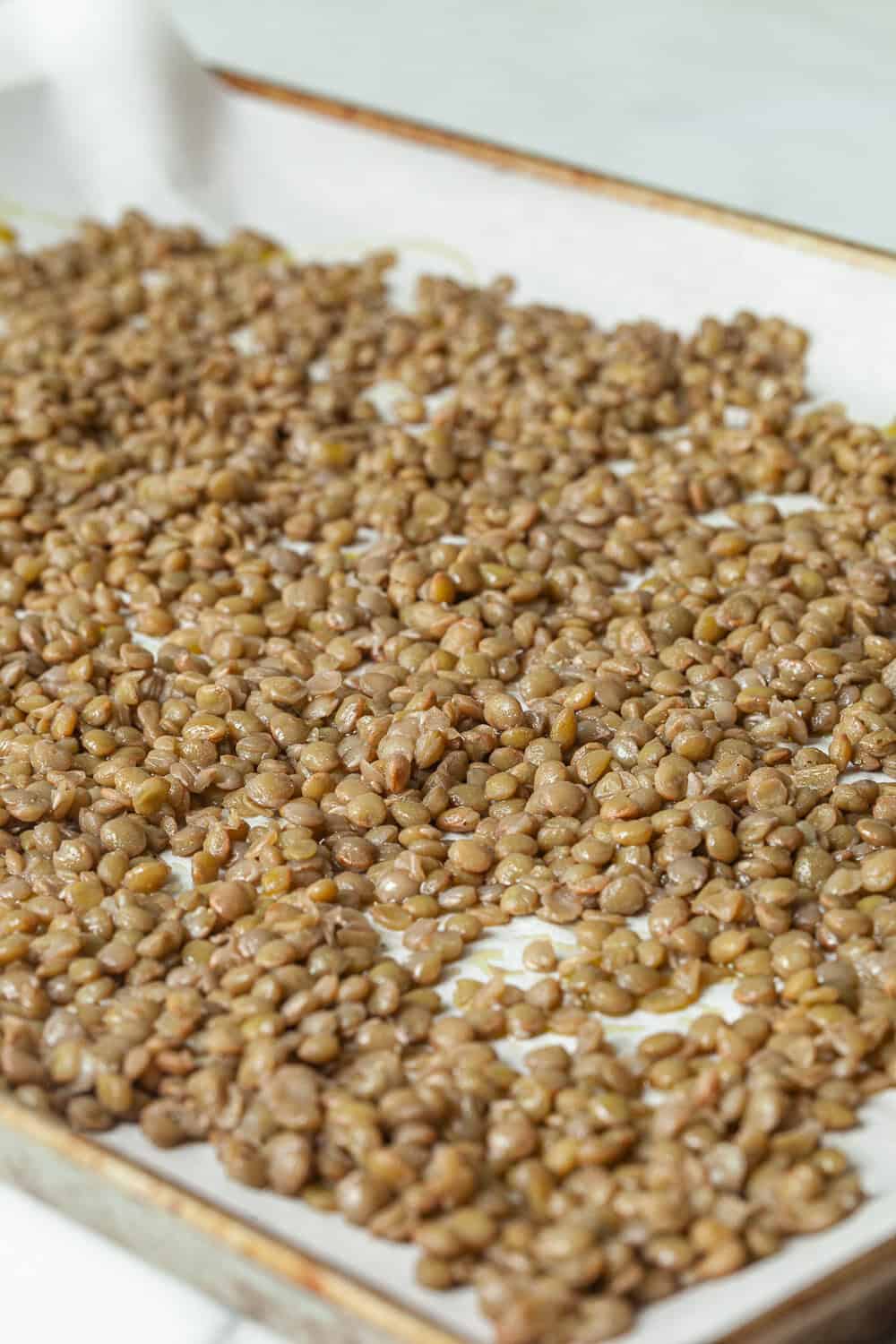 Crispy Lentils (Oven Roasted Lentils) - Balancing Bowls