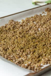 Crispy Lentils (Oven Roasted Lentils) - Balancing Bowls