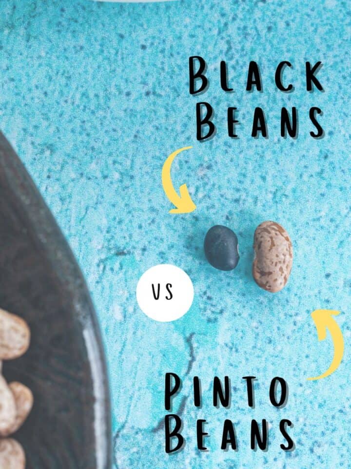 Navy Beans vs Great Northern Beans - Balancing Bowls