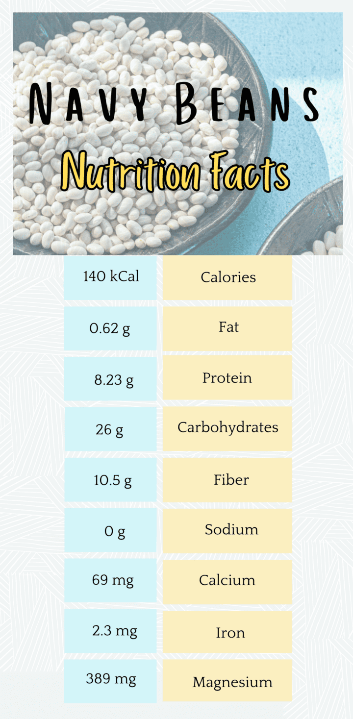 Navy Beans - Balancing Bowls