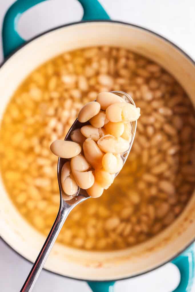 Quick Soak Method For Beans - Balancing Bowls