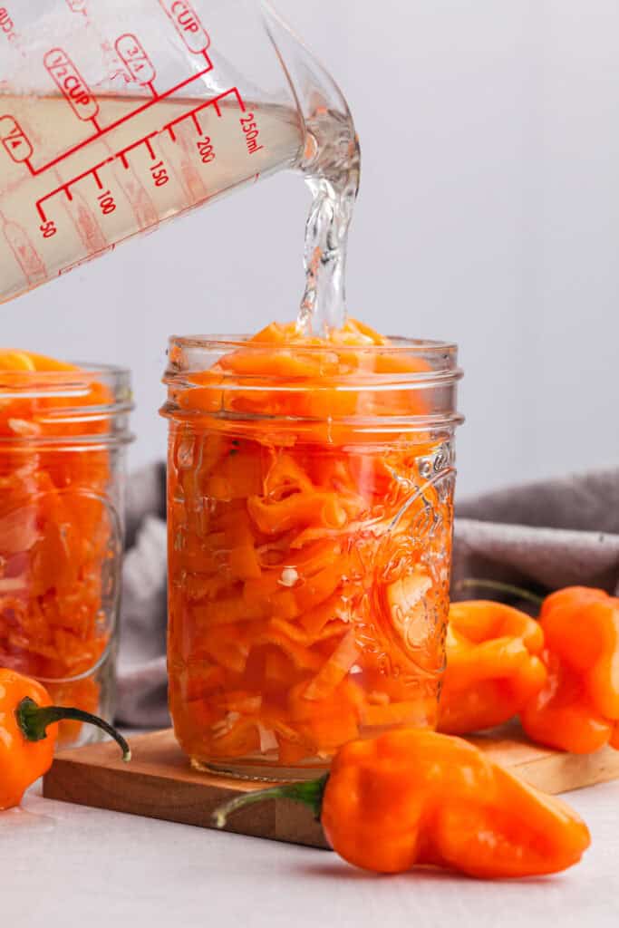 Pickled Habaneros - Balancing Bowls