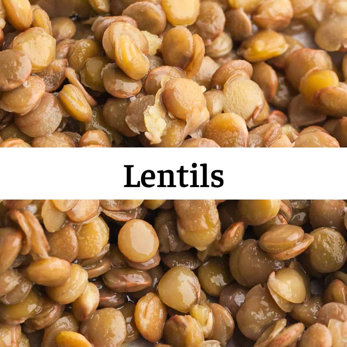 Crispy Lentils (Oven Roasted Lentils) - Balancing Bowls