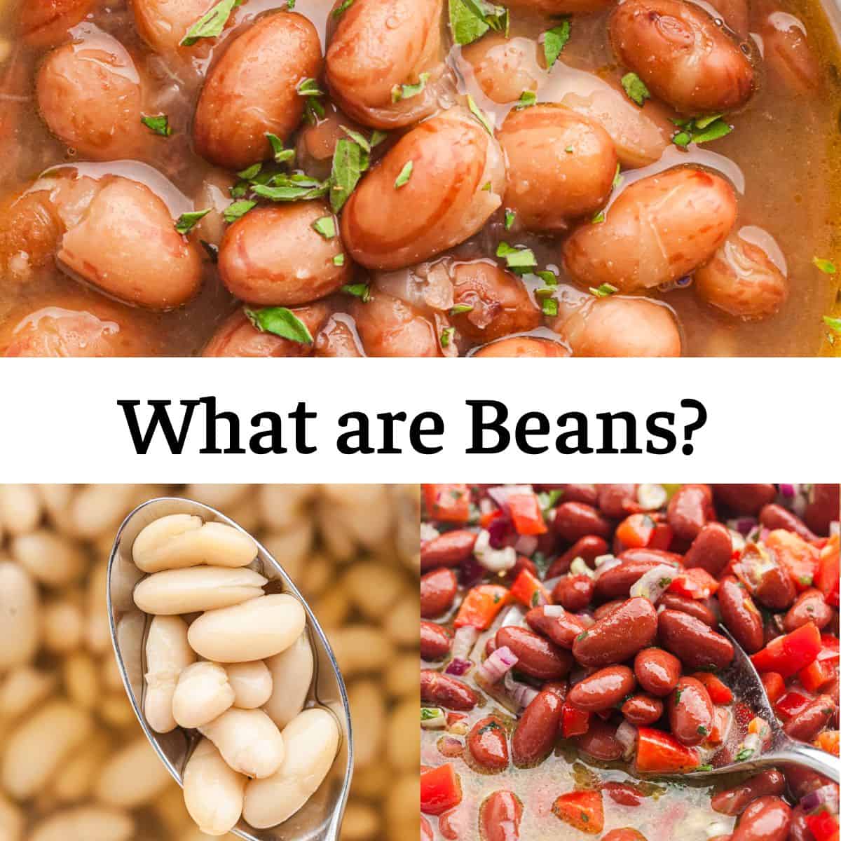 What Are Beans? - Balancing Bowls